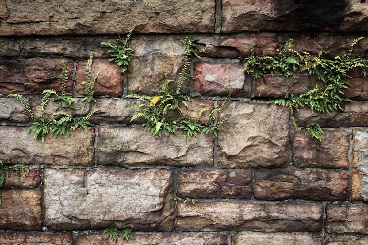 Building a First-Year Writing Course – Blue Book Diaries